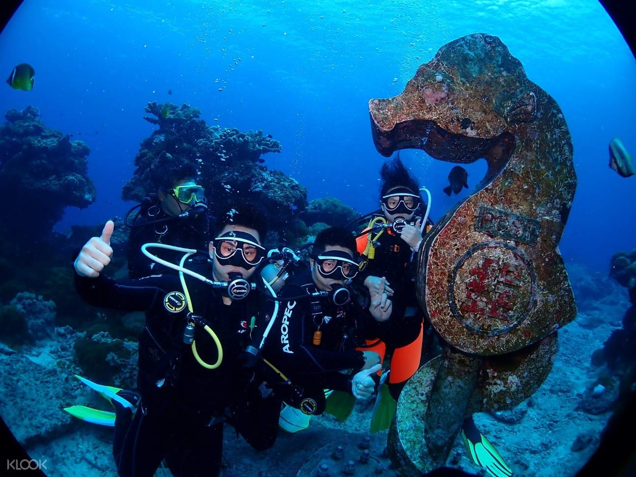 Discover Diving at Green Island Taitung (with 1 on 1 instruction)